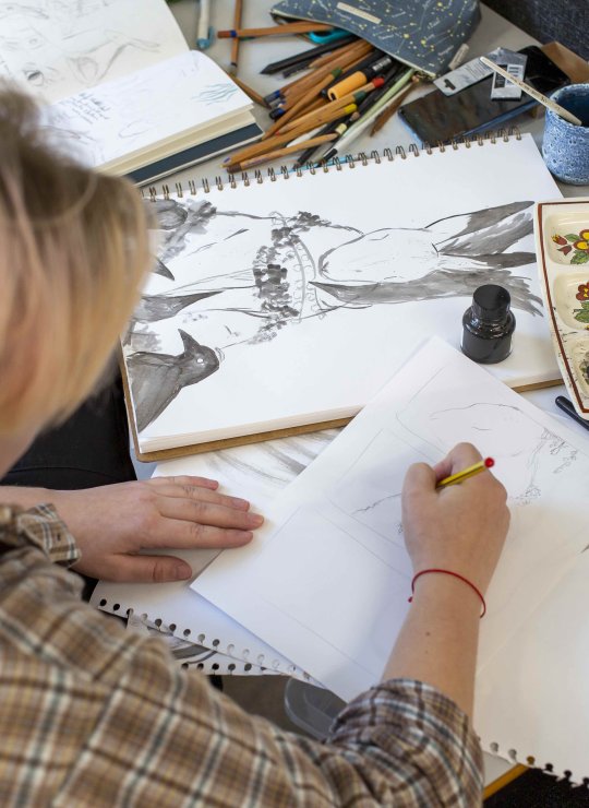 Illustration: Authorial Practice MA | Falmouth University