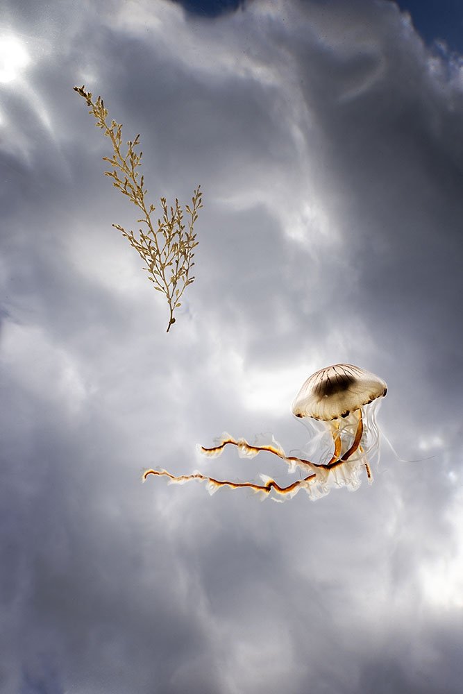 Falmouth lecturer recognised at International Photography Awards 2023 ...