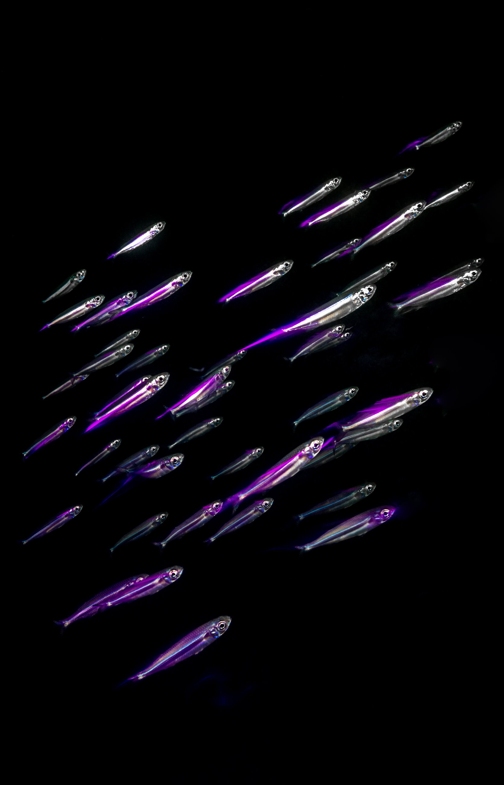 Falmouth lecturer recognised at International Photography Awards 2023 ...