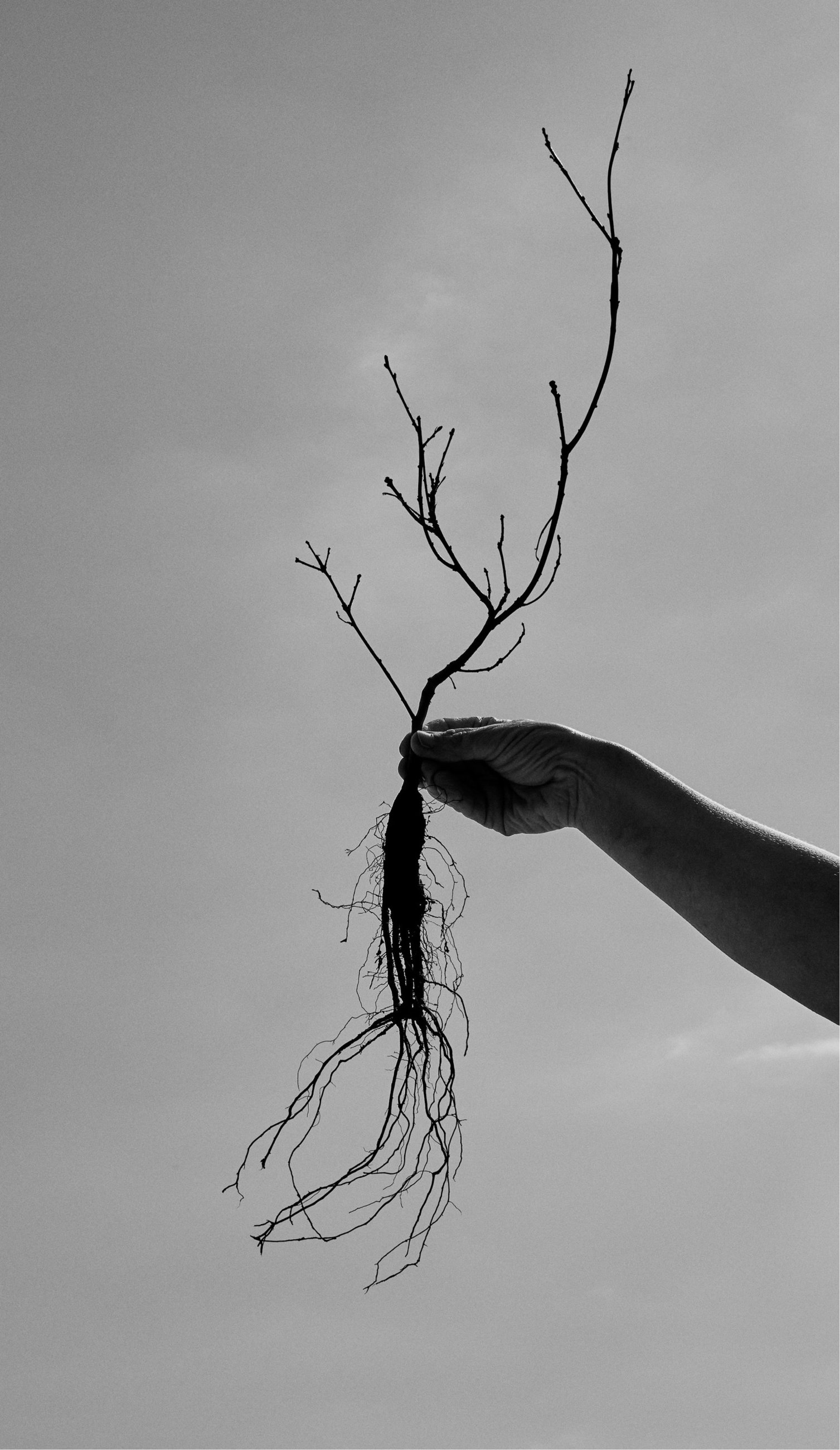 Graduate Spotlight: Photographer Alex Leat | Falmouth University