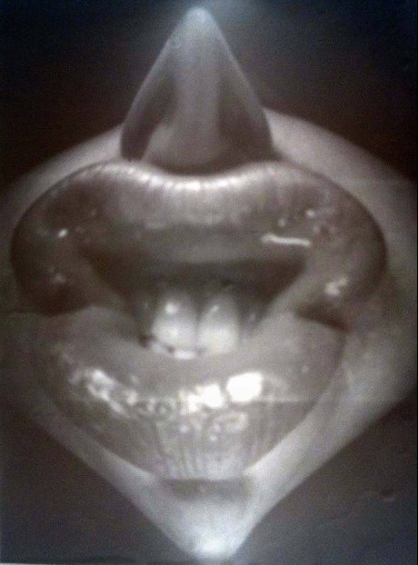 Justin Quinnell | Falmouth University