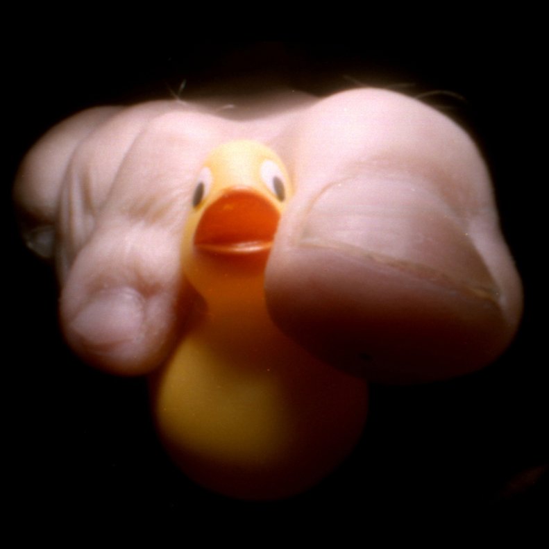 Justin Quinnell | Falmouth University