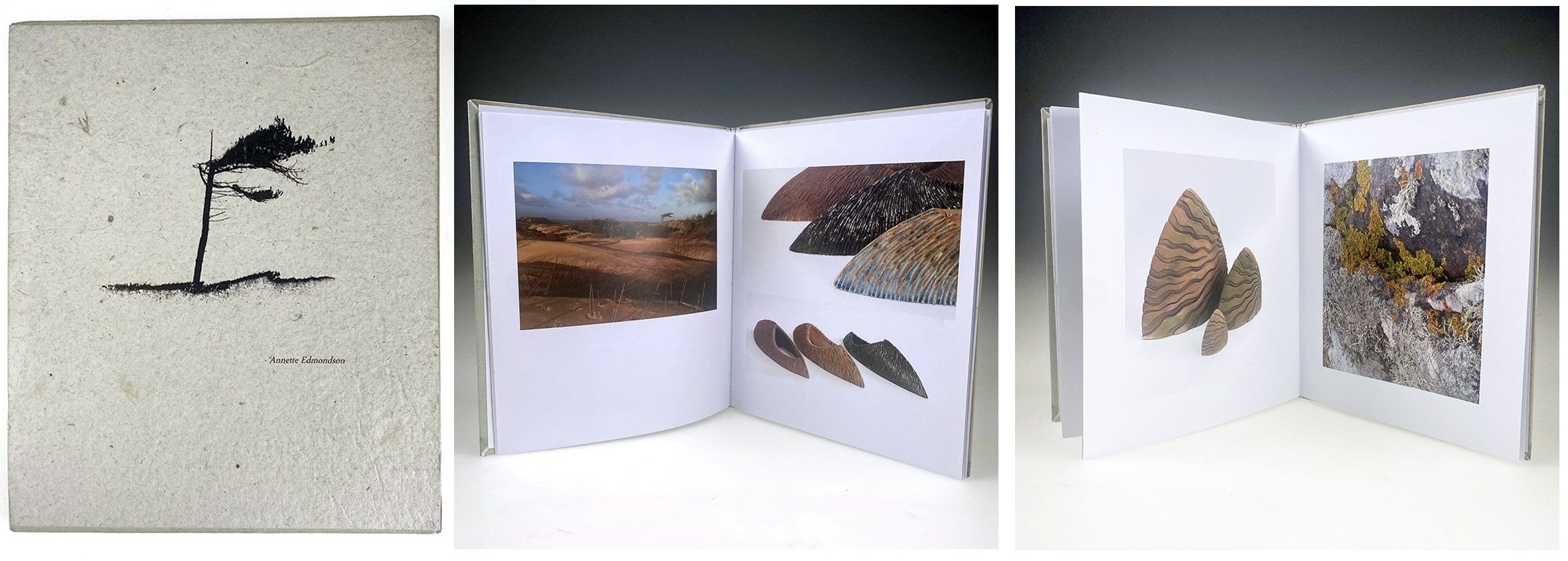 Rachel Moffat | Falmouth University