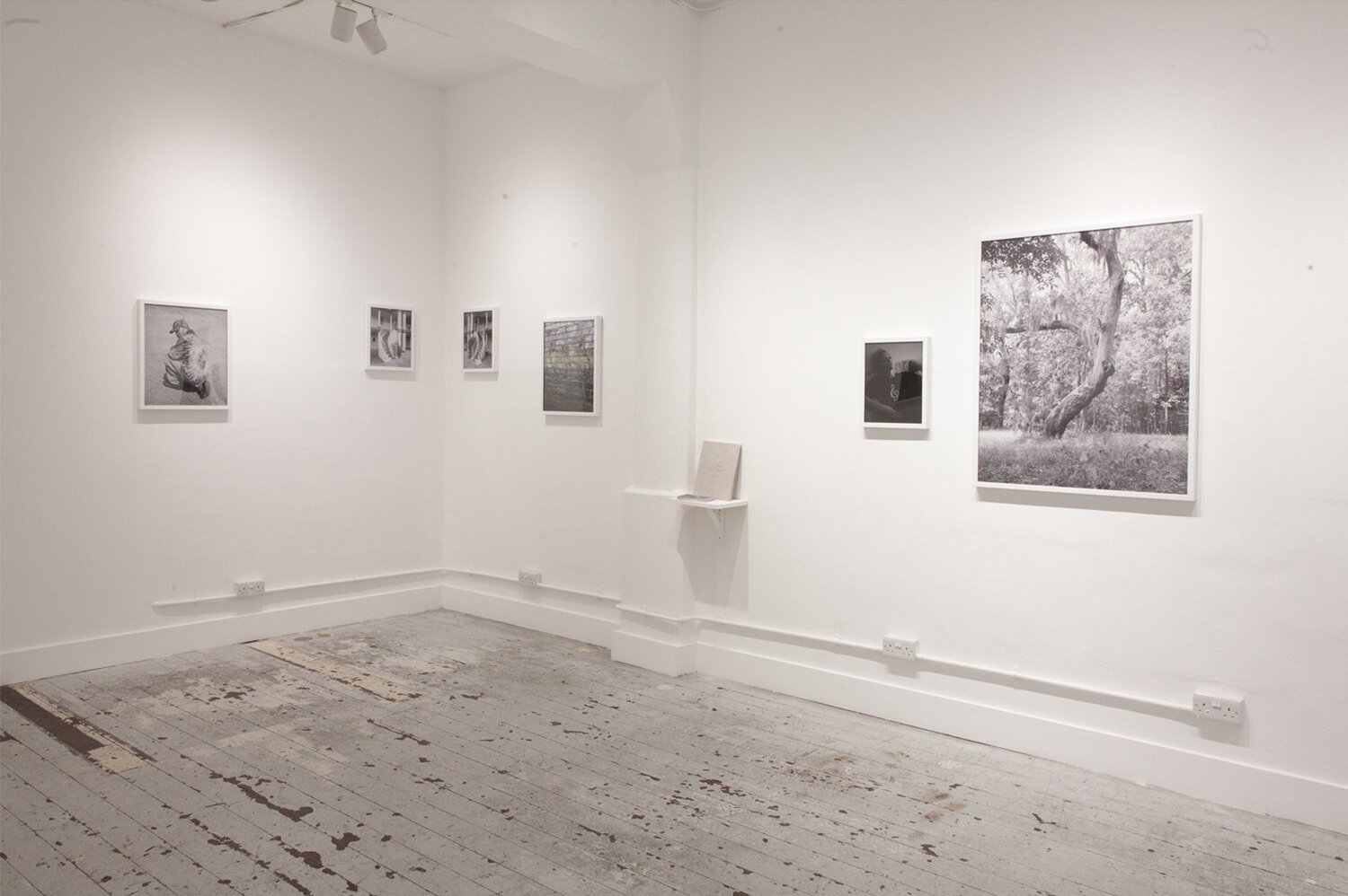 Tom Skinner | Falmouth University