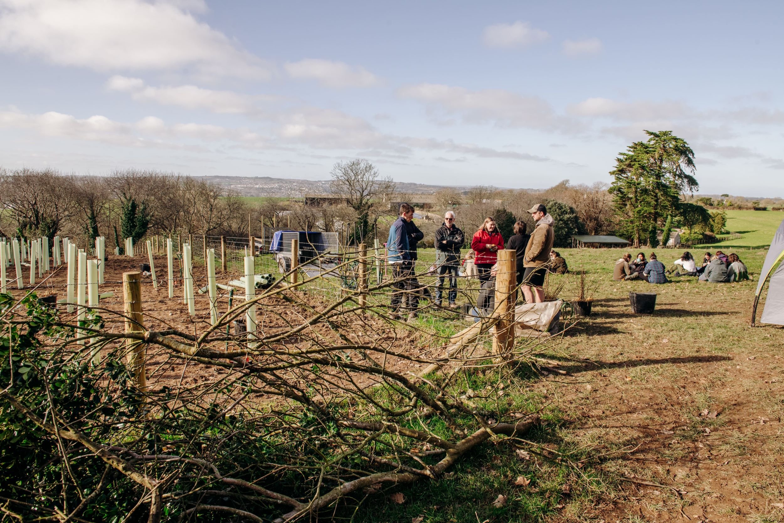 Falmouth University community plants 500 trees in partnership with ...