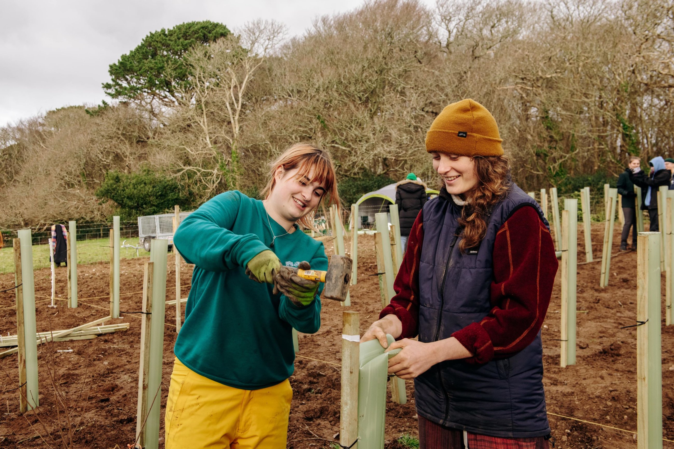Falmouth University community plants 500 trees in partnership with ...