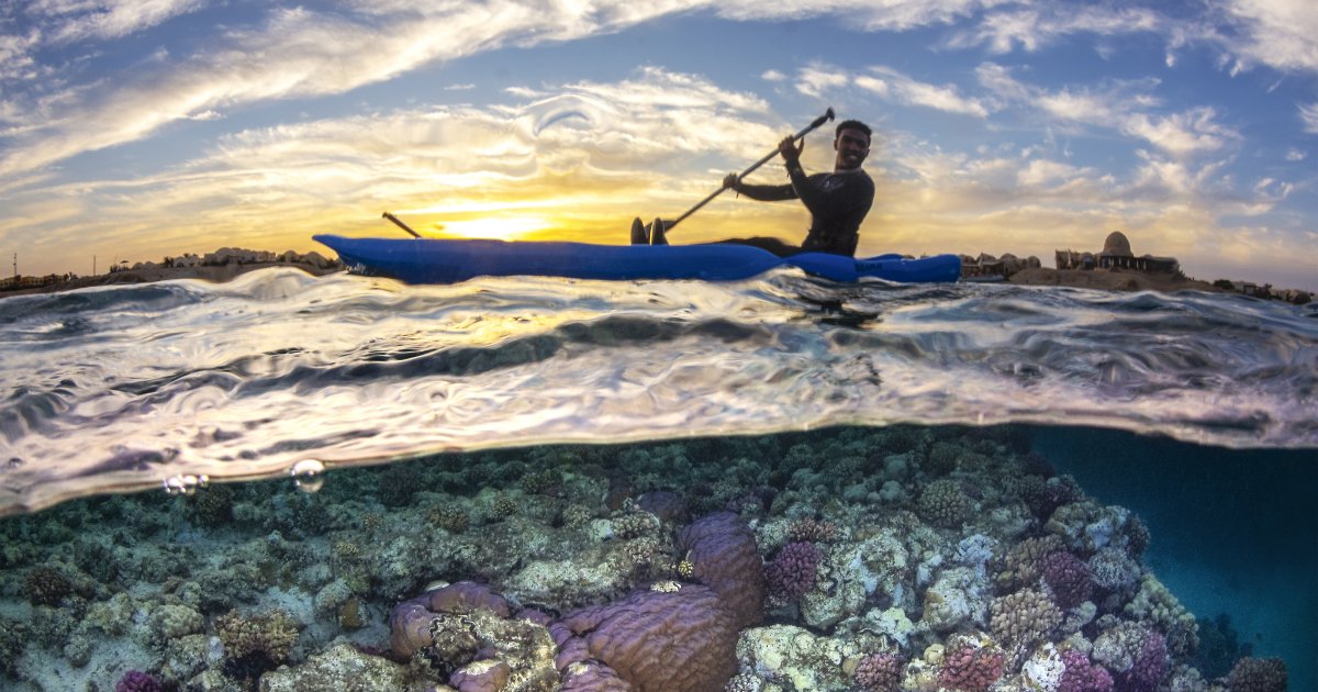 Capturing the Red Sea | Falmouth University