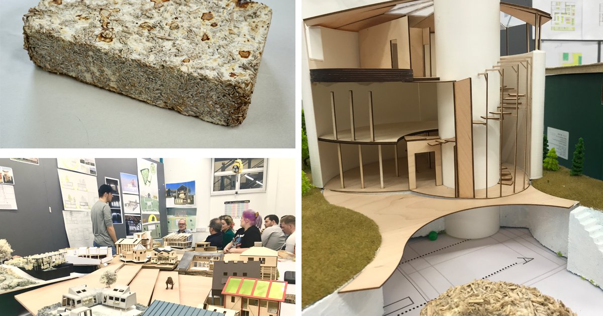 Architecture Students Design Sustainable Bio Houses | Falmouth University