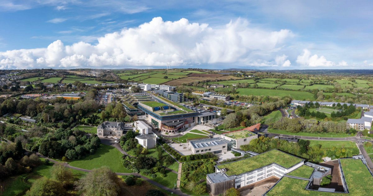 Virtual Experience | Falmouth University