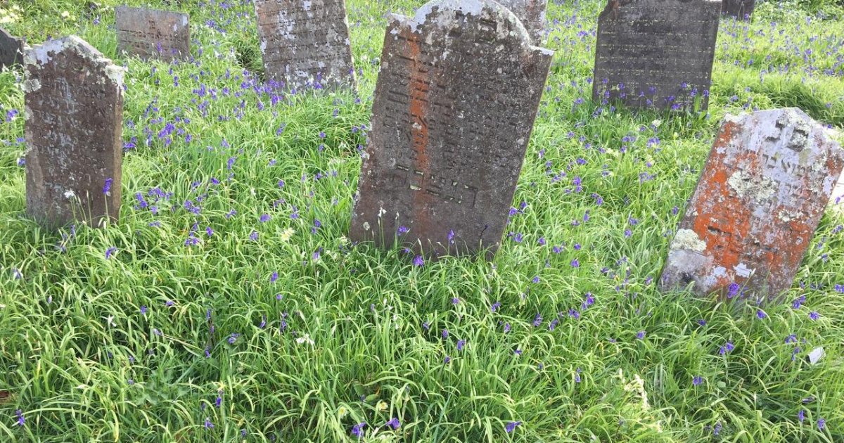 Jewish Heritage and Lived Experience in Cornwall | Falmouth University