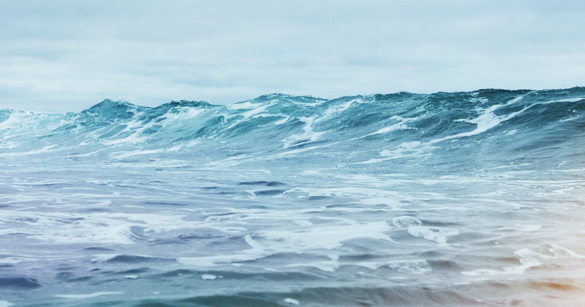 Mark Leary | Researcher Community