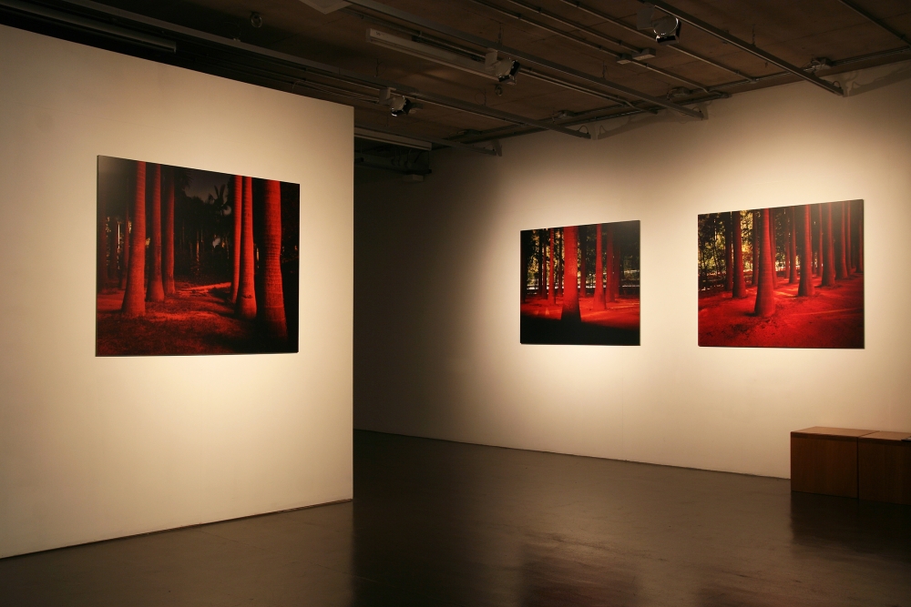 Dinu Li | Falmouth University