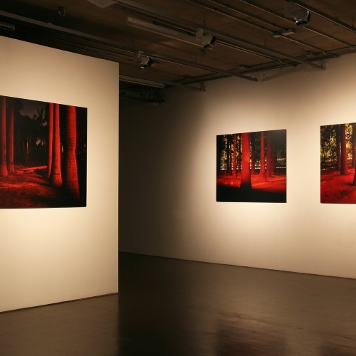 Dinu Li | Falmouth University