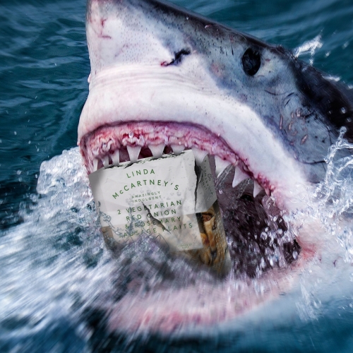 Creative Advertising MA | Falmouth University