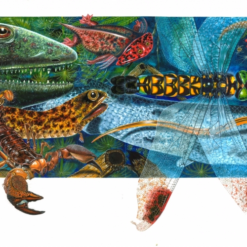 Professor Alan Male | Falmouth University